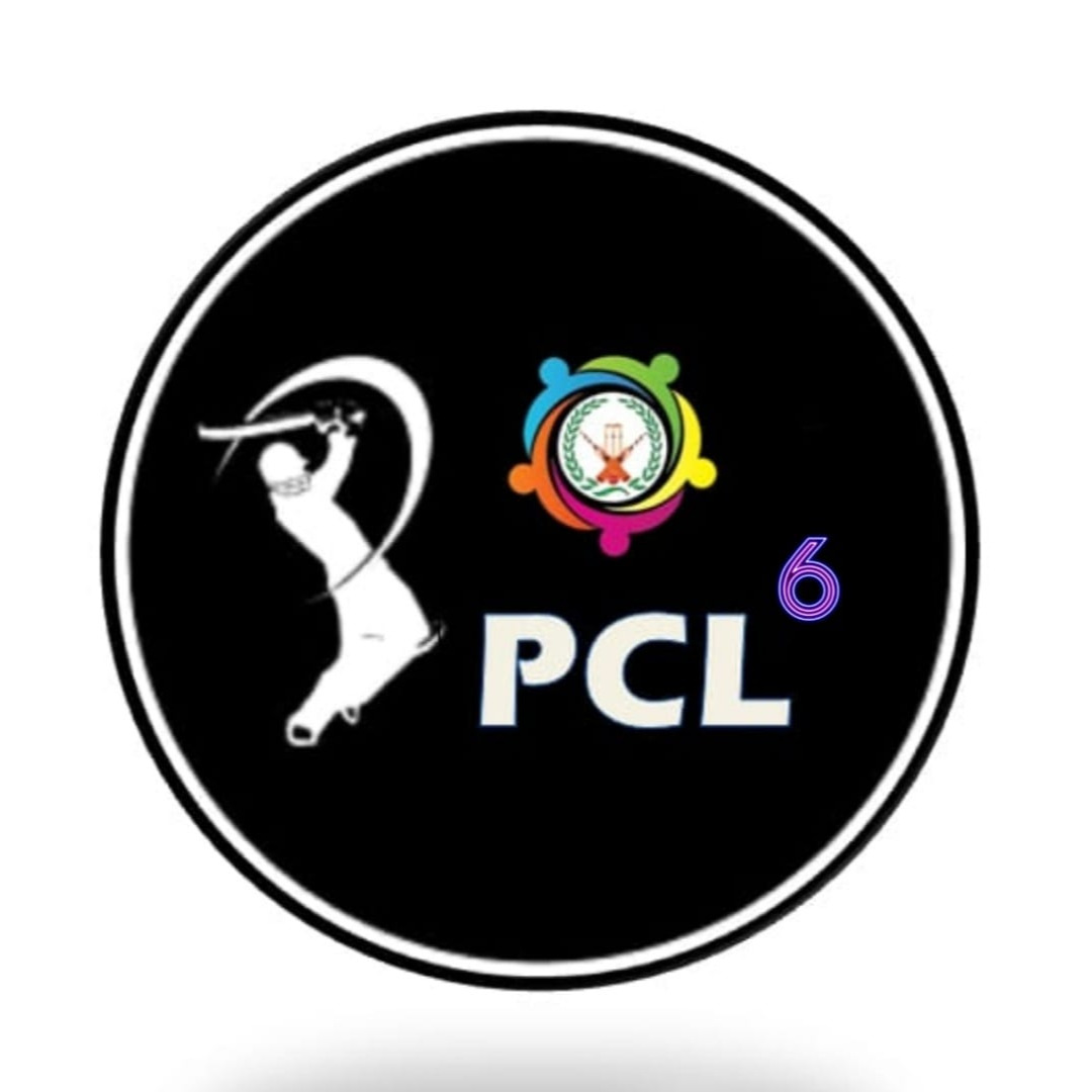 The Player Auction - Professional’s Cricket League 6 - Players Auction ...
